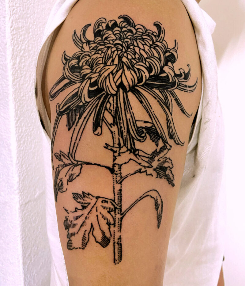 Kelly Rico, special tattoos made of organized chaos - Tattoo Life
