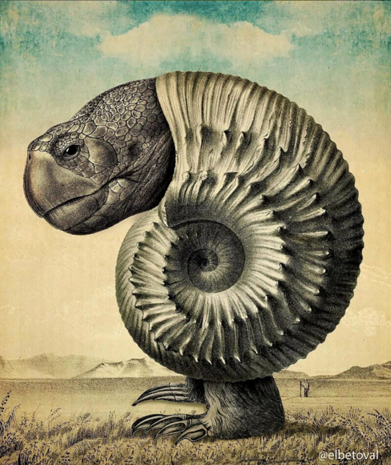 The wild aristocracy, incredible machines and imaginary animals of Beto ...