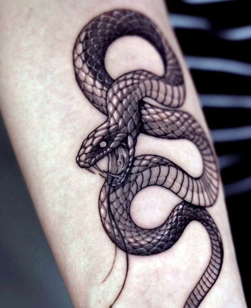 The changing skin of the snake - Tattoo Life