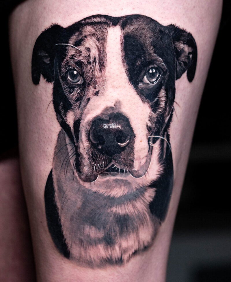 Angélique Grimm, Dr. Dolittle of the Realistic Tattoos - Tattoo Life