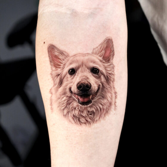 Yeono, the love of animals imprinted on skin - Tattoo Life