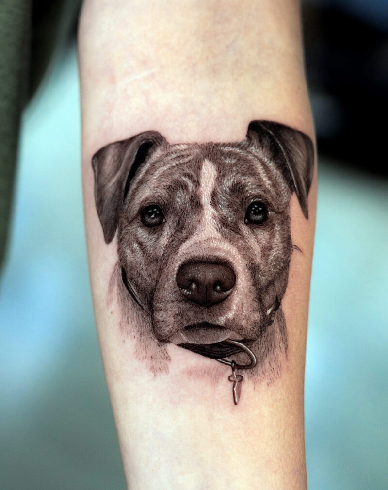 Lewis: Tattoos as Perfect as the Lives of Our Beloved Pets - Tattoo Life