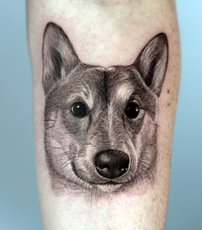 Lewis: Tattoos as Perfect as the Lives of Our Beloved Pets - Tattoo Life