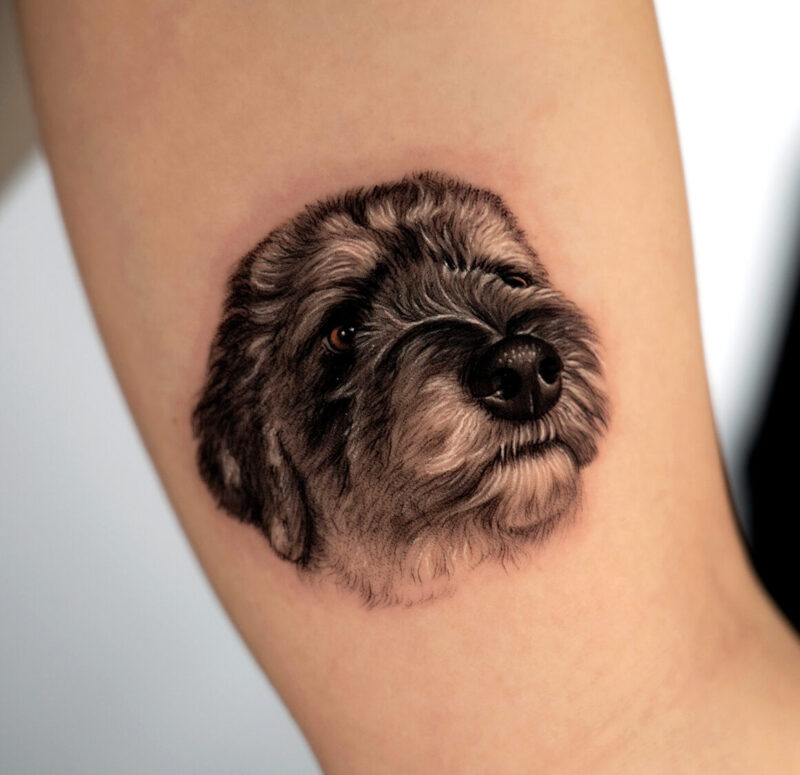 Lewis: Tattoos as Perfect as the Lives of Our Beloved Pets - Tattoo Life