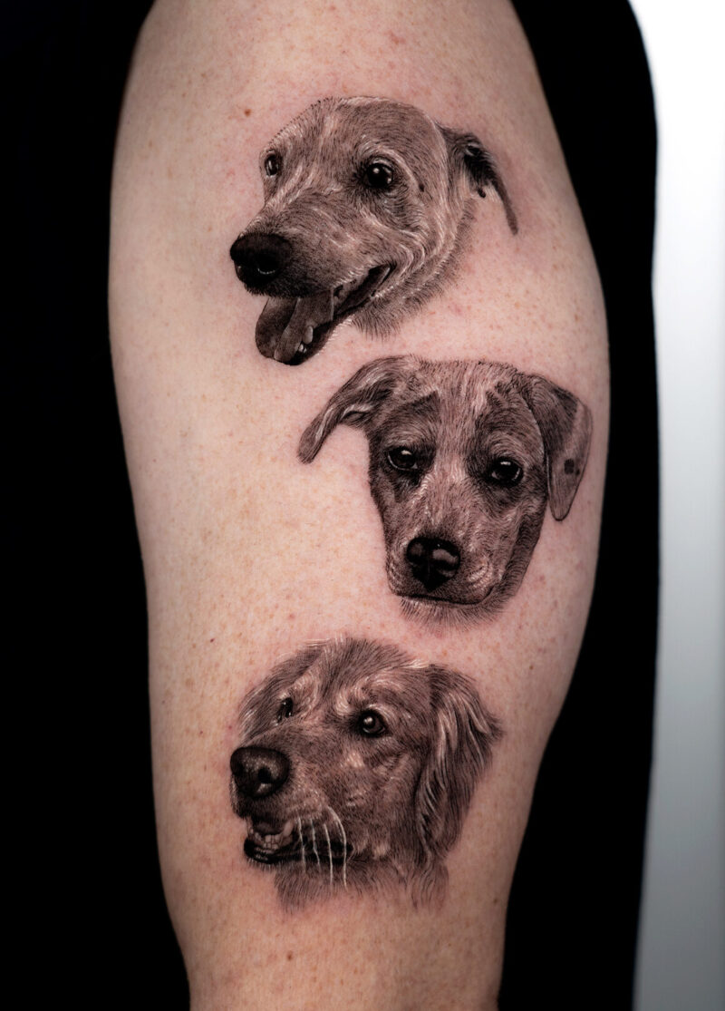Lewis: Tattoos as Perfect as the Lives of Our Beloved Pets - Tattoo Life