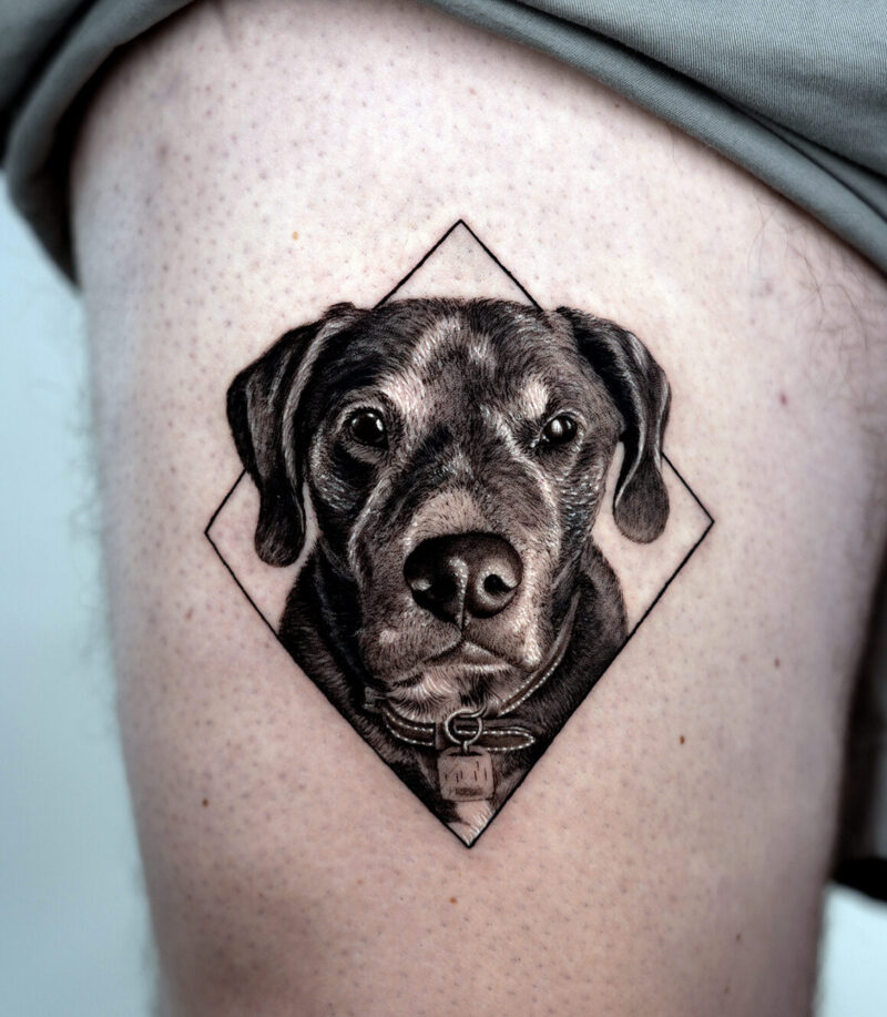 Lewis: Tattoos as Perfect as the Lives of Our Beloved Pets - Tattoo Life